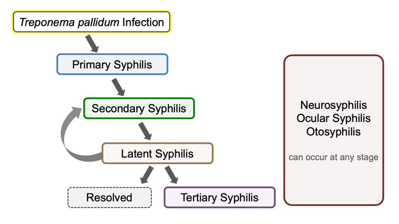 Core Concepts - Syphilis - Self-Study Lessons - National STD Curriculum