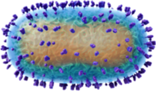 Core Concepts - Mpox - Self-Study Lessons - National STD Curriculum
