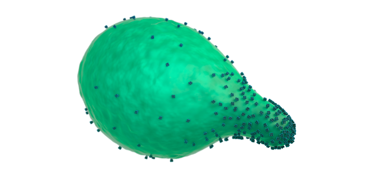 Core Concepts - Mycoplasma genitalium - Self-Study Lessons - National ...