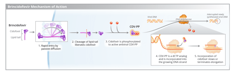 Core Concepts - Mpox - Self-Study Lessons - National STD Curriculum