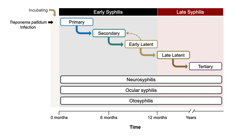 Core Concepts - Syphilis During Pregnancy and Congenital Syphilis ...